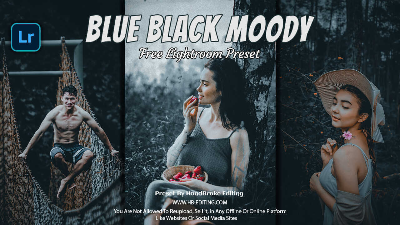 Blue Black Moody Lightroom Preset Free Download