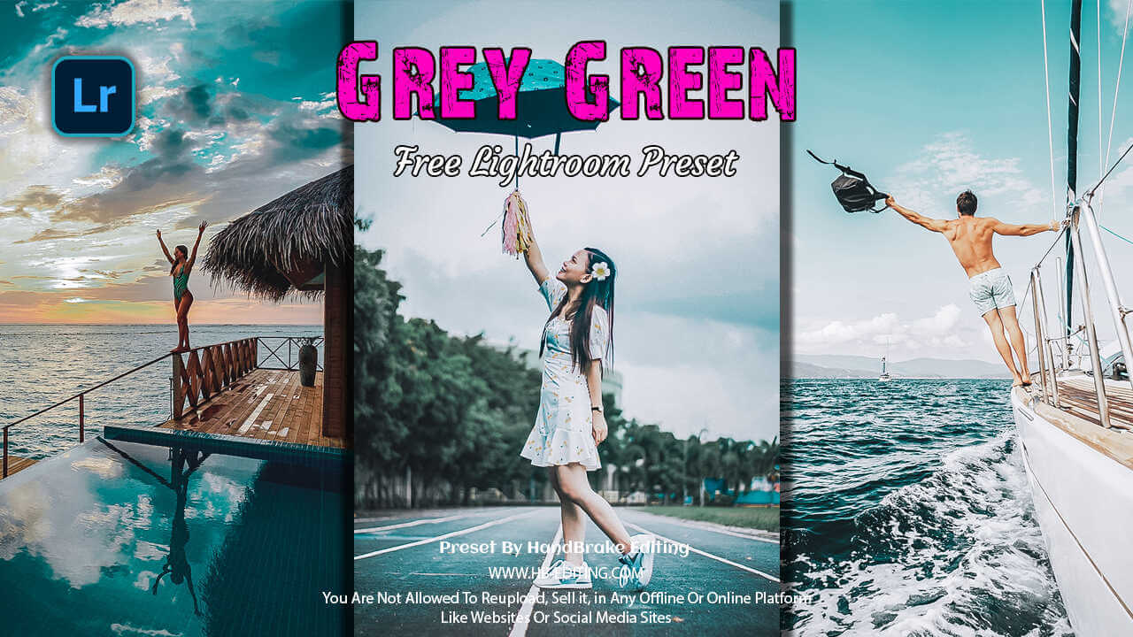 Grey Green Lightroom Preset Free Download