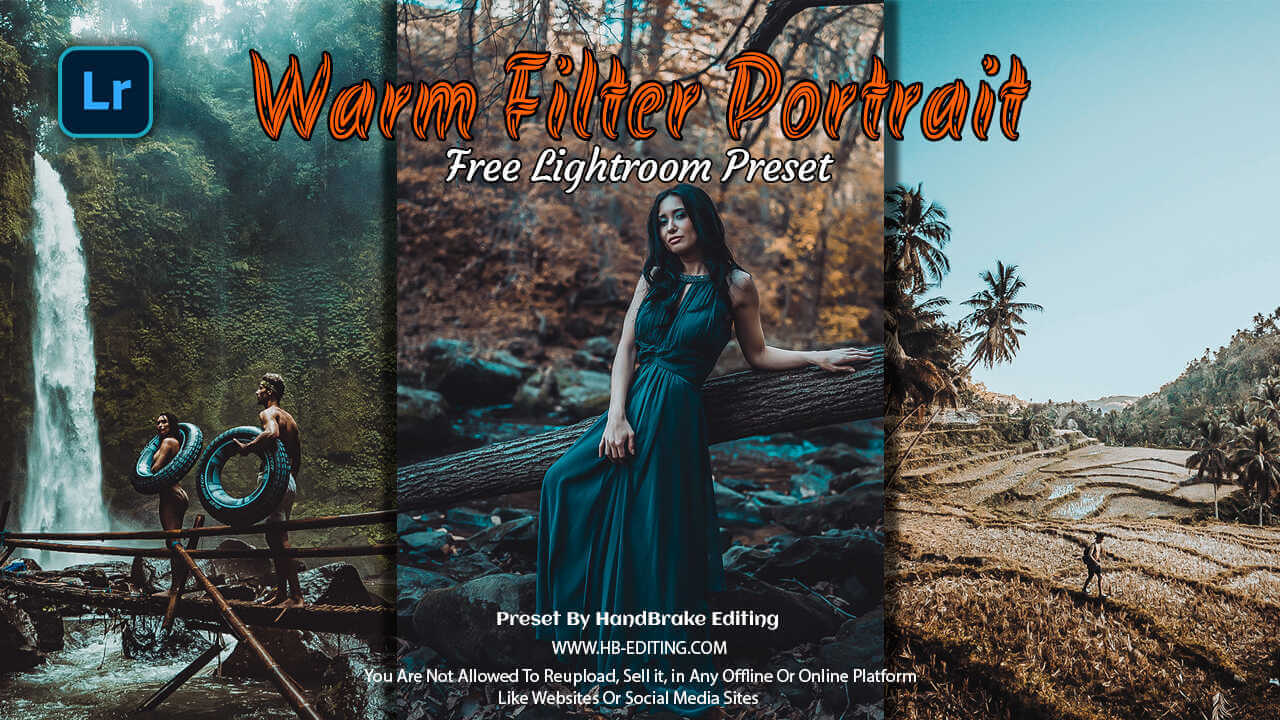 Warm Filter Portrait Lightroom Preset Free Download