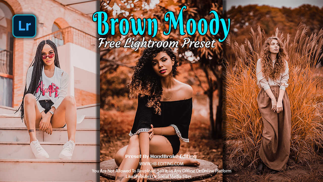 Brown Moody Lightroom Preset Free Download